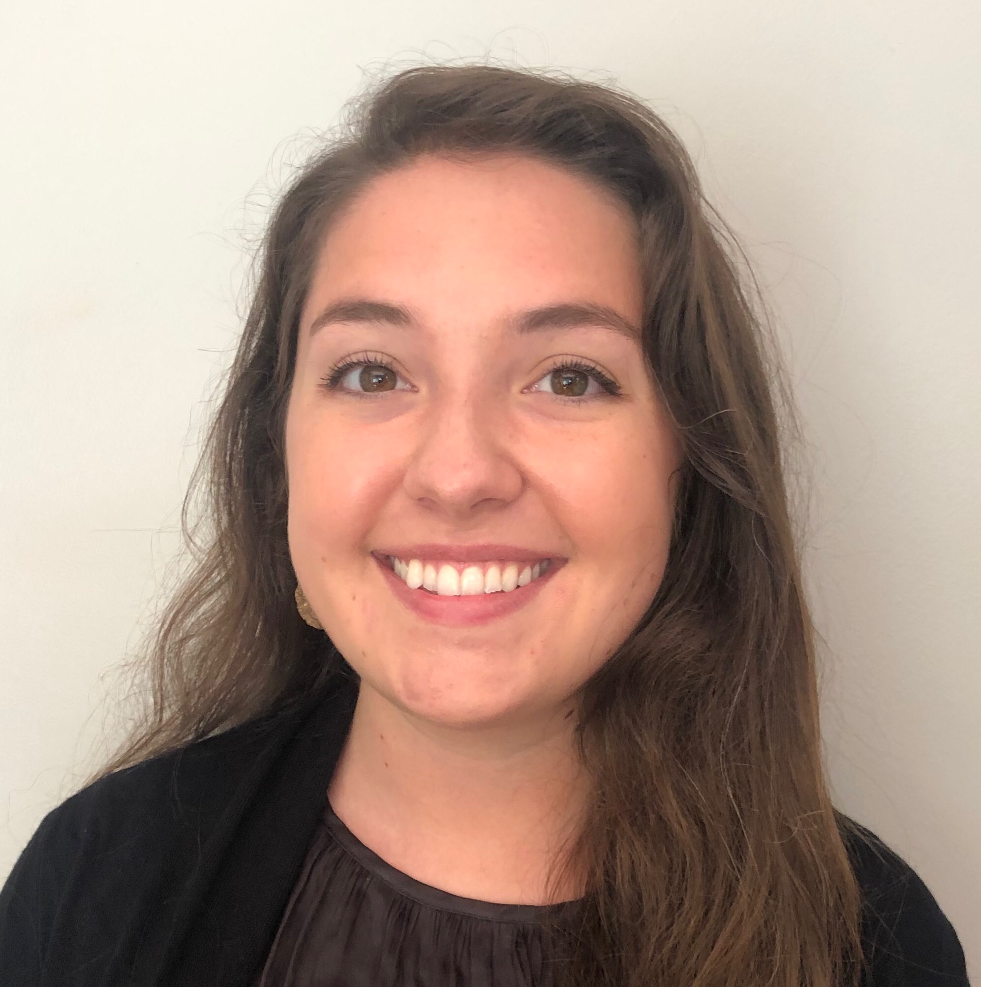 When Perpetrators of Domestic Violence Use Civil Court System to Re ...